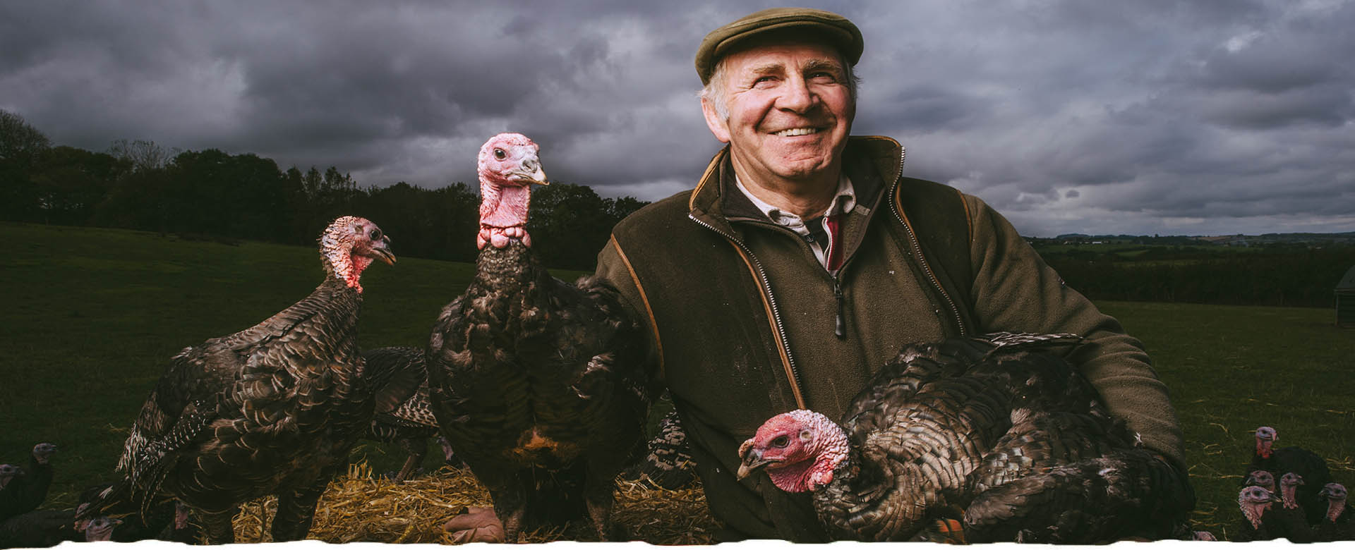 Exeter Turkey Farm - Devon Bronze Christmas Turkey - Exeter Turkey Farm ...